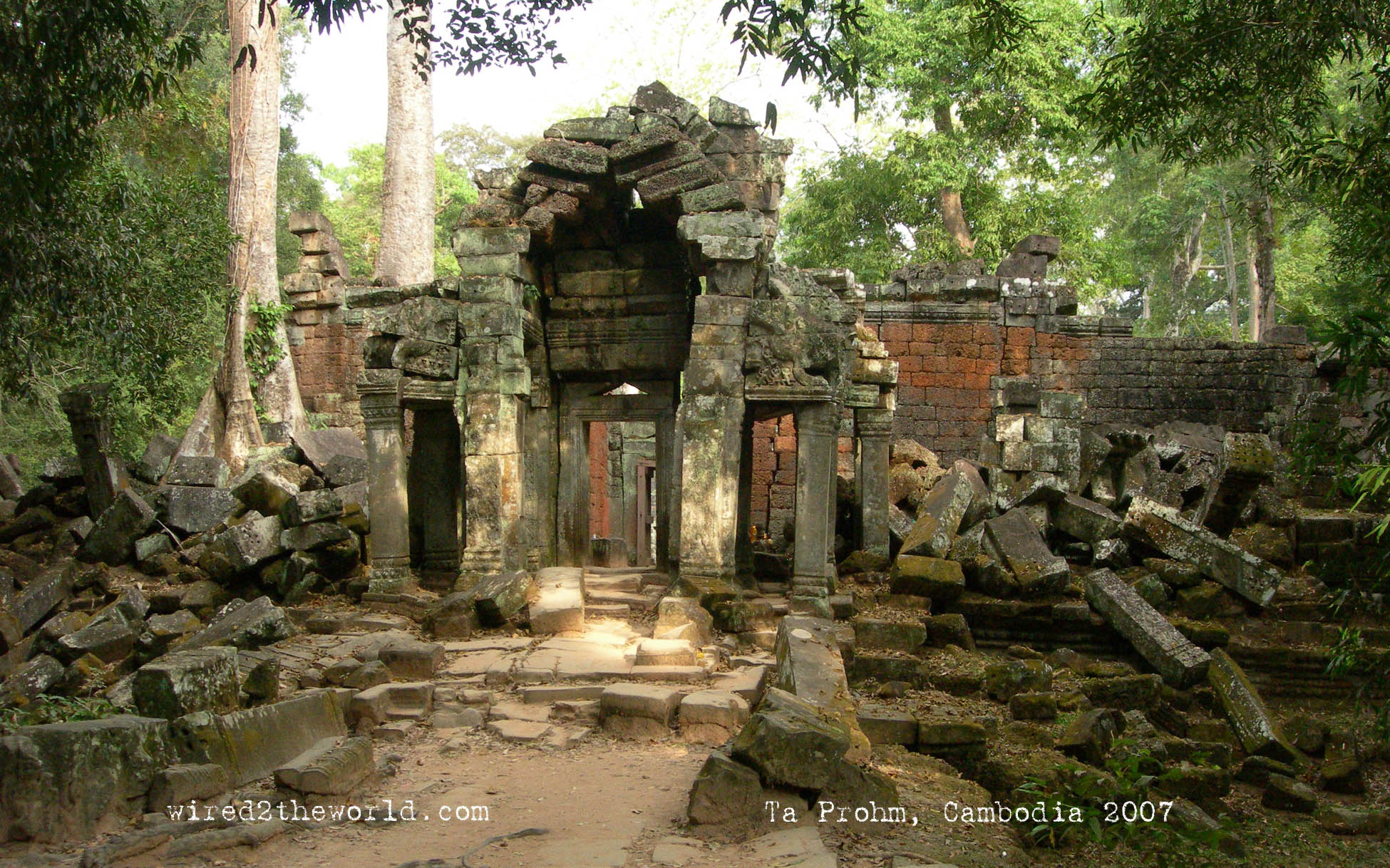 Favorite Photo Friday-Ta Prohm Temple, Cambodia – wired2theworld