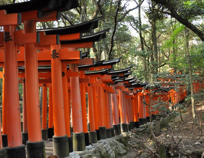 Fushimi Inari Shrine - wired2theworld
