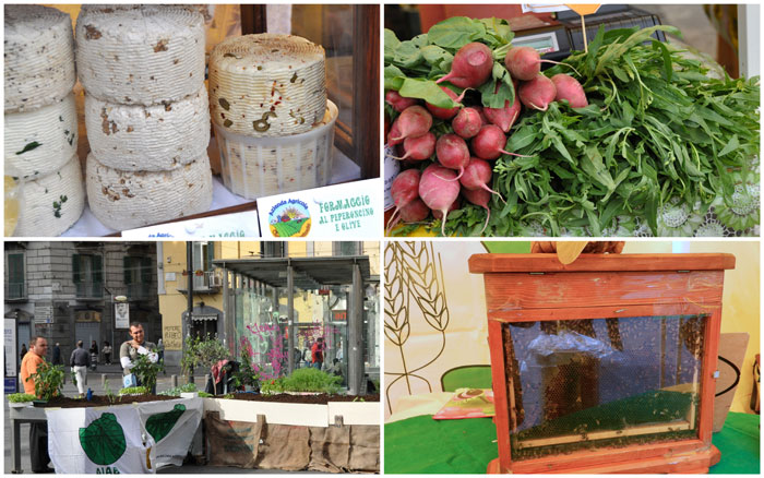 Naples Porta Nolana Fish Market and Piazza Dante Farmer's Market ...