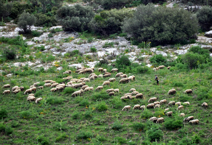 A Visit to the Roman Ruins of Ephesus - wired2theworld