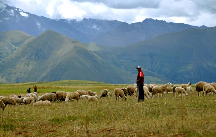 Moray and the Maras Salt Pans - wired2theworld