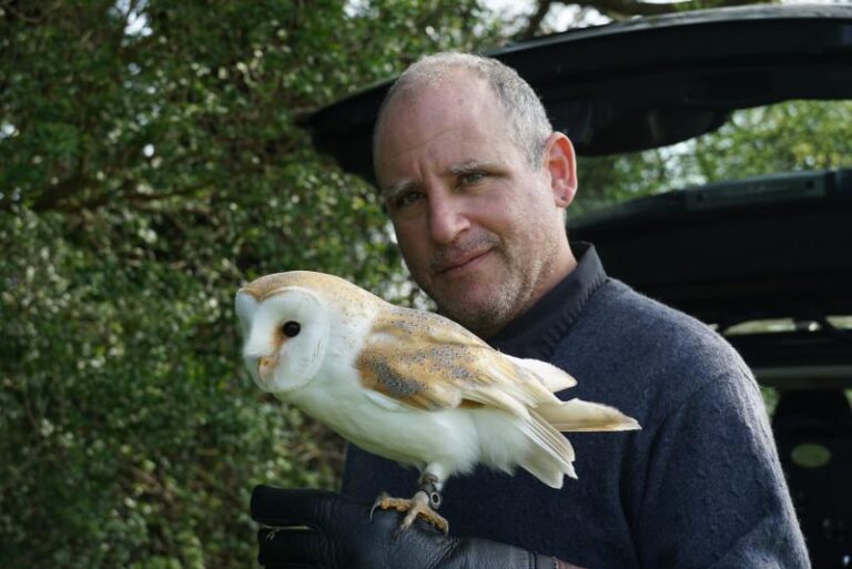 48 Hours in Killarney Ireland - wired2theworld